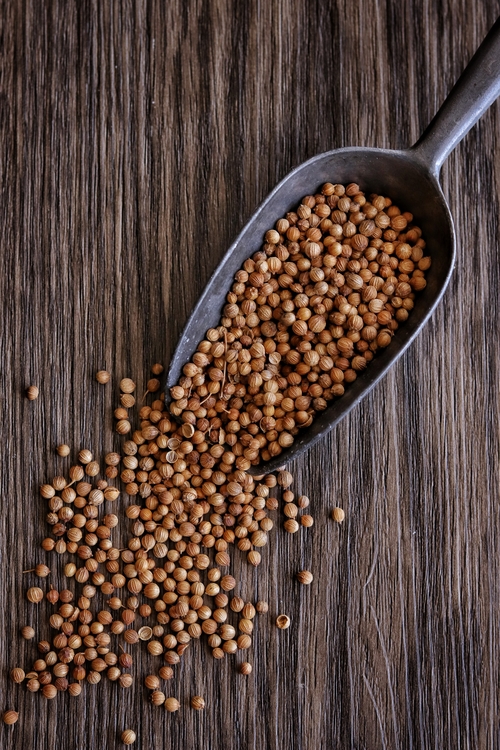 Para qué sirven las semillas de cilantro recetas y remedios caseros